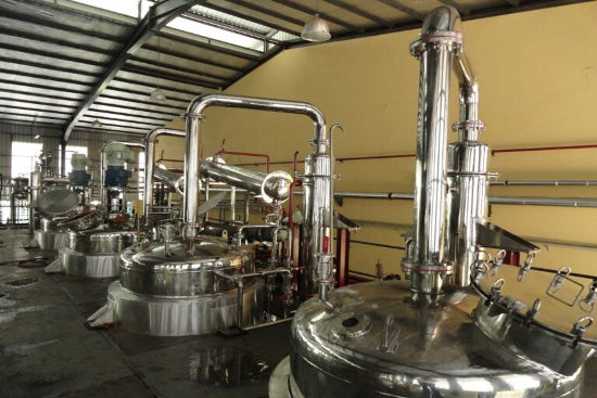 Mechotech Phytochemical Extraction Plants Premium Bioactive Compounds